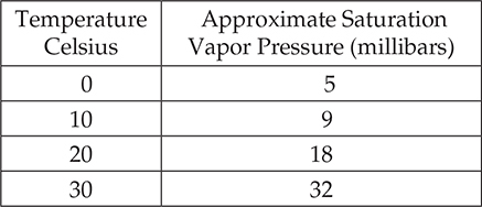 Digital SAT Math Practice Test 45: Exponential Functions_SATPanda.com