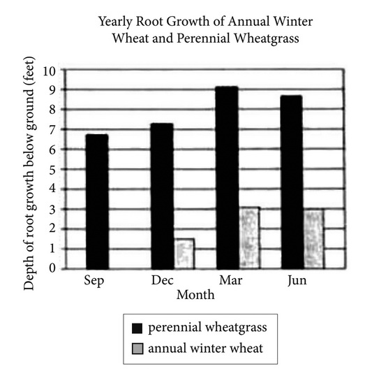 Digital SAT Reading and Writing Practice Question 1596: Answer and ...