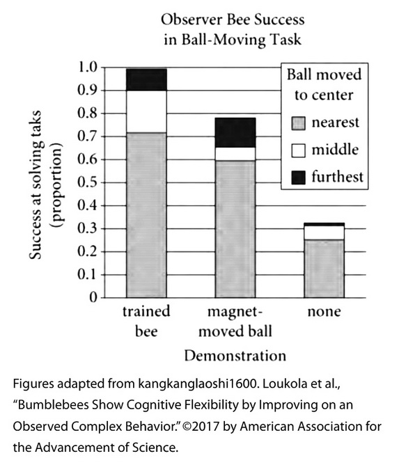 Digital SAT Reading and Writing Practice Question 1602: Answer and ...